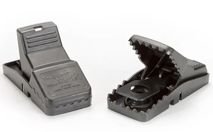 Trapper Mini-Rex Mouse Snap Trap - Insect and rodent mechanical traps ...