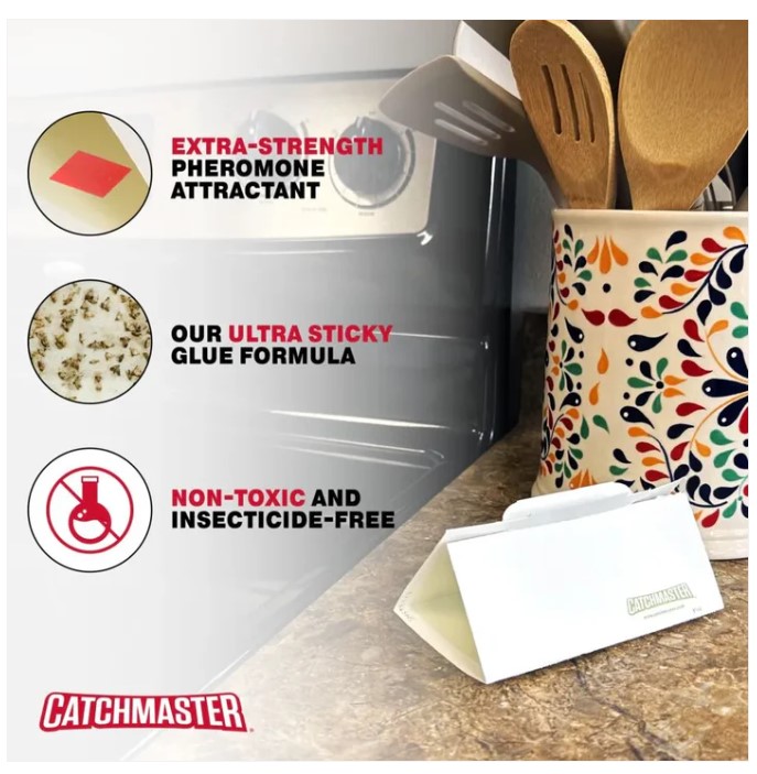 Catchmaster Pantry pest & Moth Traps - Insect and rodent glue traps ...