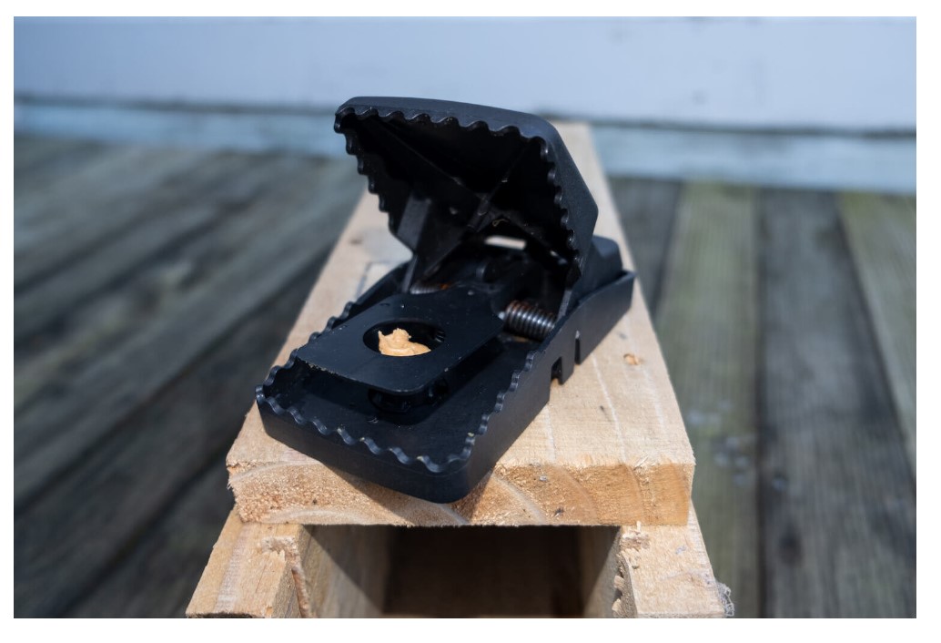 Trapper Mini-Rex Mouse Snap Trap - Insect and rodent mechanical traps ...