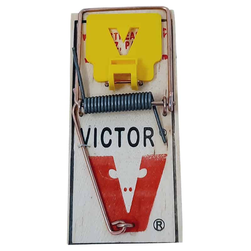 Victor mouse trap M325 (case of 72 traps) - Insect and rodent ...